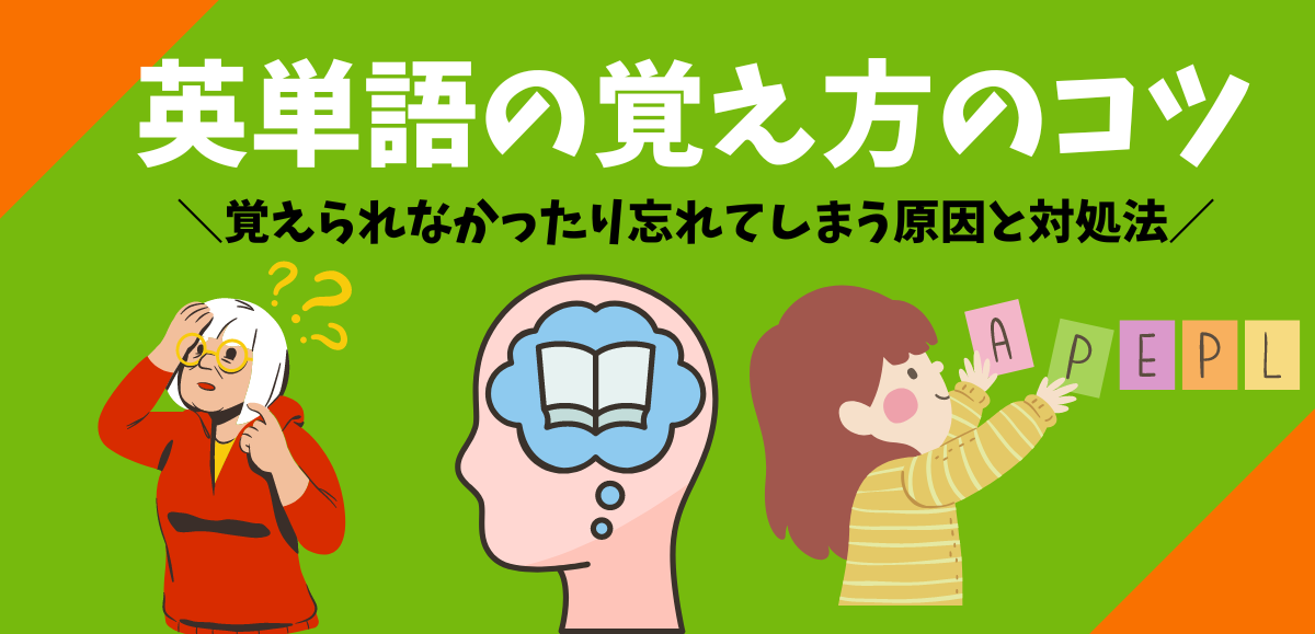 英単語の覚え方のコツ｜覚えられなかったり忘れてしまう原因と対処法│ショーケース プラス